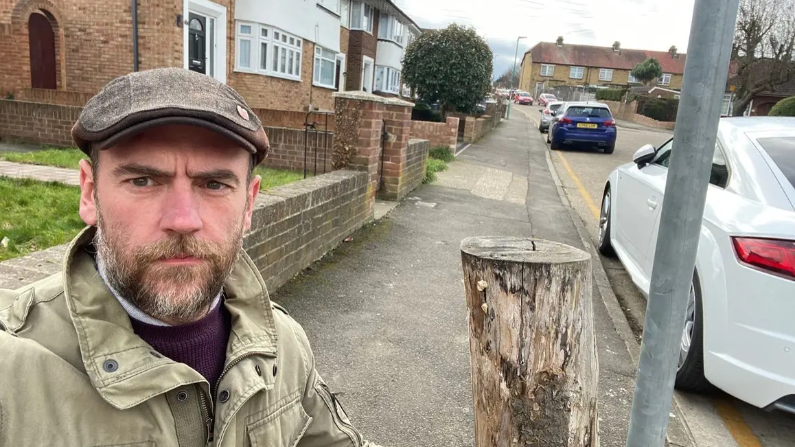 'Where Have All Our Street Trees Gone?' - say Medway Liberal Democrats ...